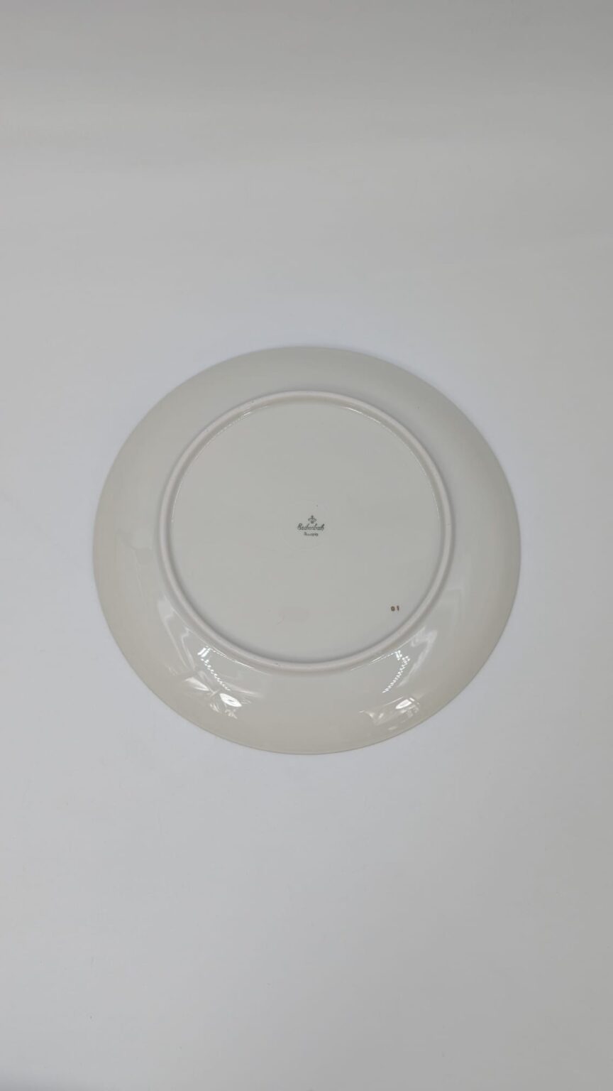 Eschenbach flat dinner plate - Ant-art